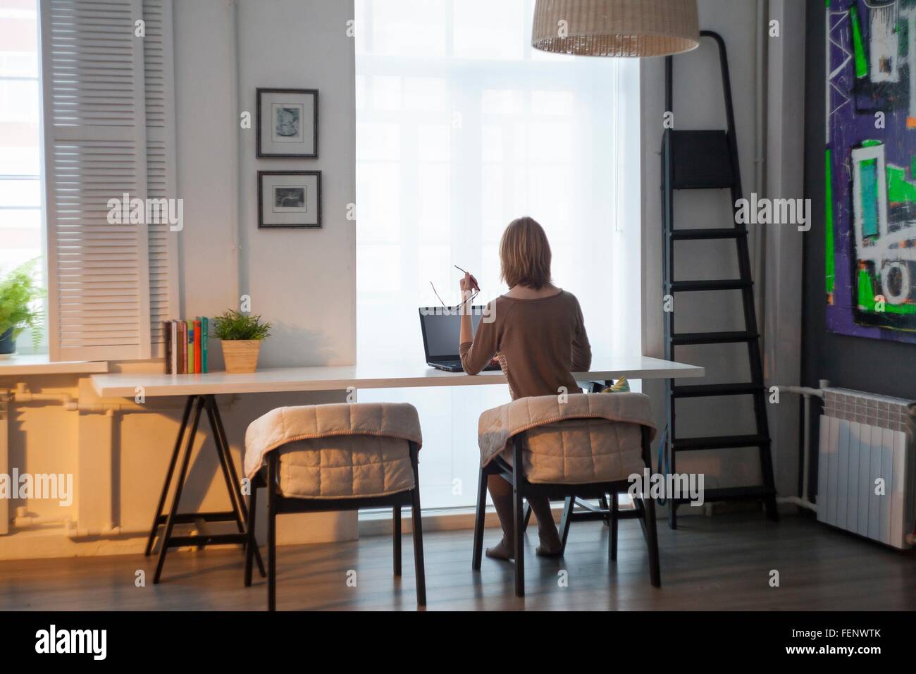 Rear view of mid adult woman using laptop at table in front of window ...