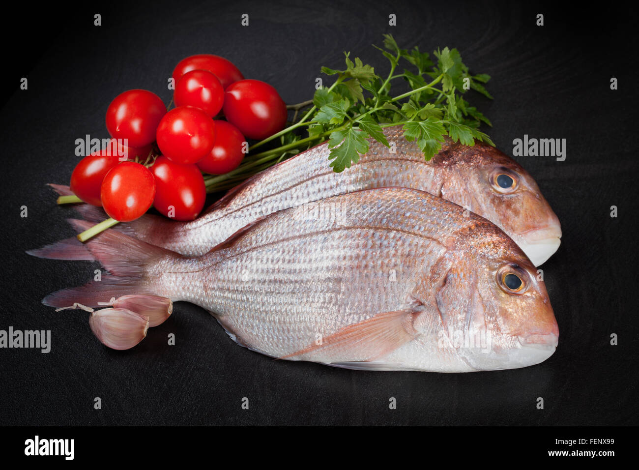 Dentex snapper hi-res stock photography and images - Alamy