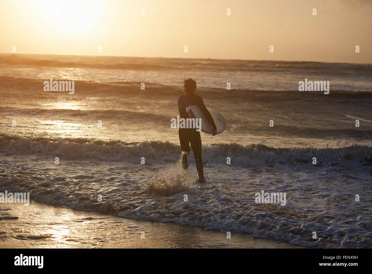 Young male surfer carrying surfboard running into sea, Devon, England ...
