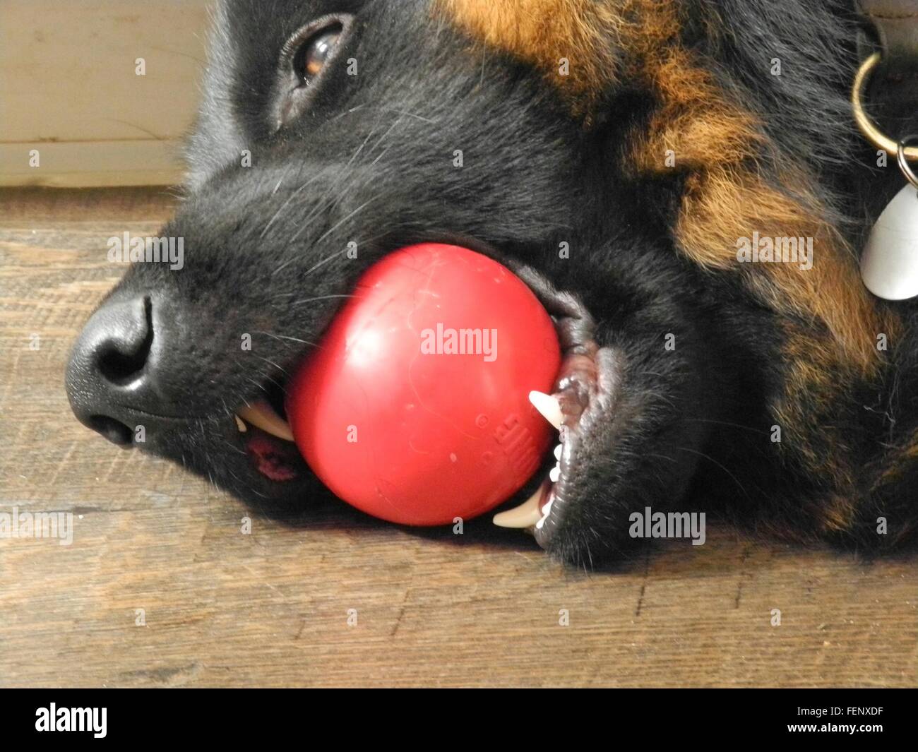 Head ball hi-res stock photography and images - Alamy