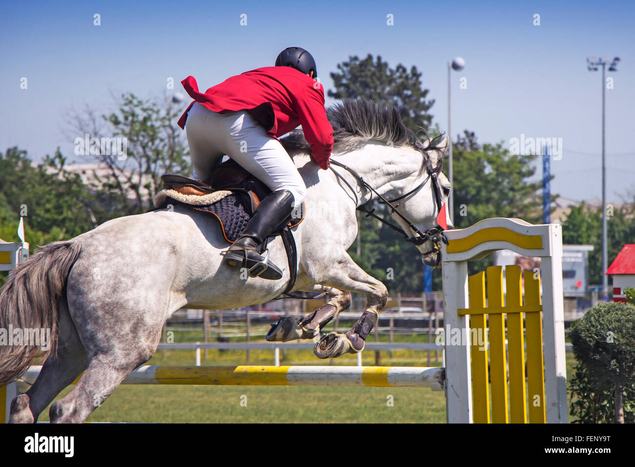 Rider jumping on horseback competing in equestrian tournament Stock ...