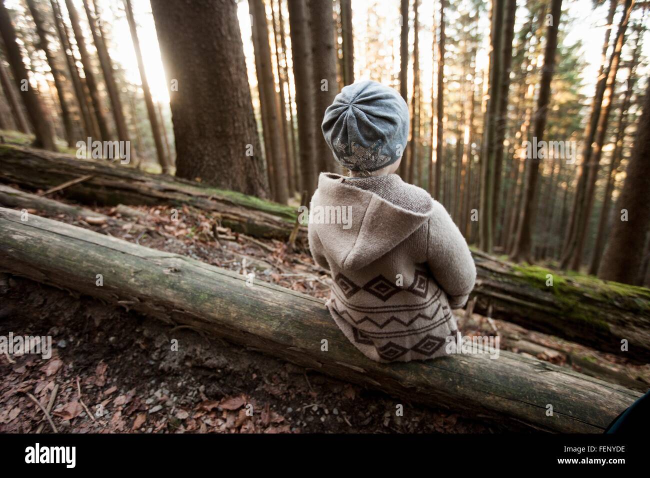 Female toddler sitting on tree trunk in forest, Tegernsee, Bavaria ...
