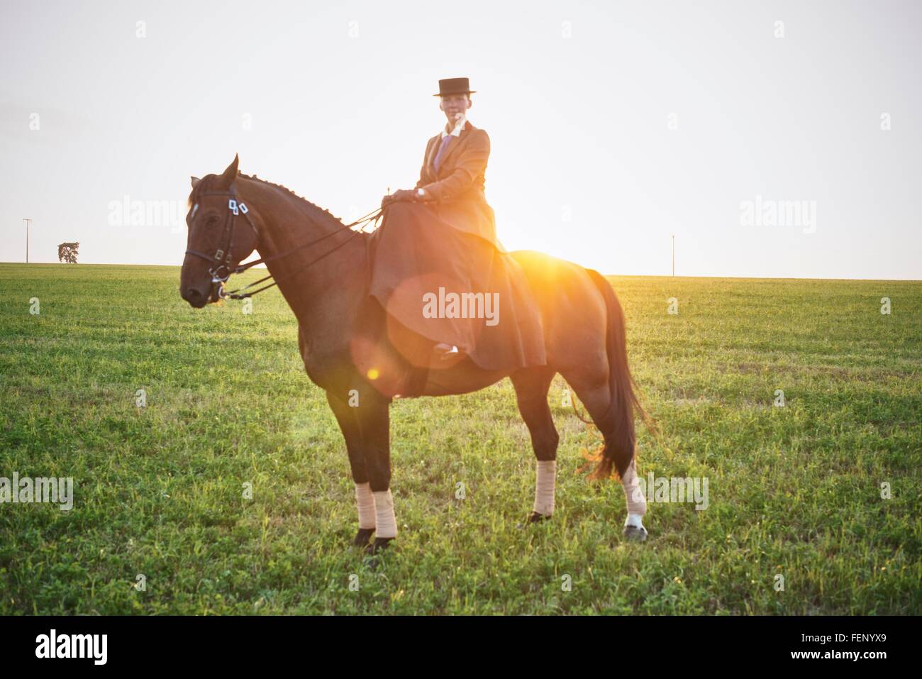 Dressage training hi-res stock photography and images - Alamy