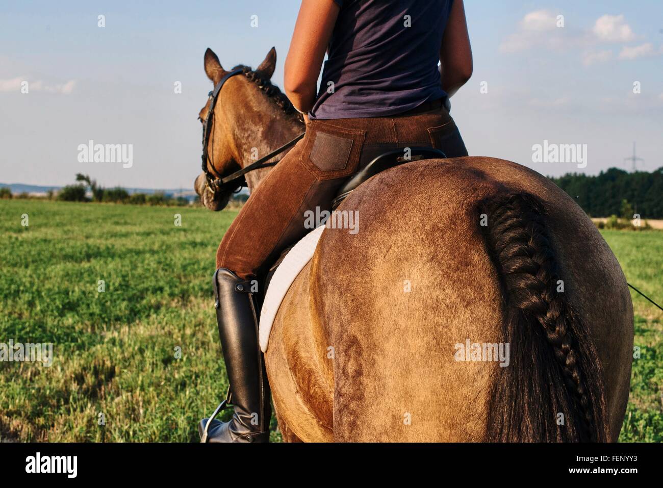 Rear view of woman riding bay horse in field Stock Photo - Alamy