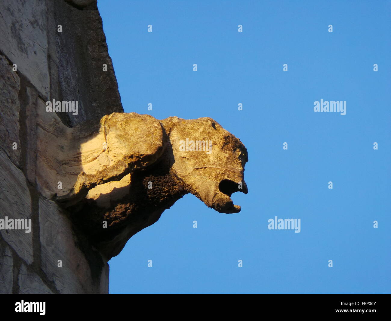 Statue Of Bird On Old Stone Wall Stock Photo - Alamy