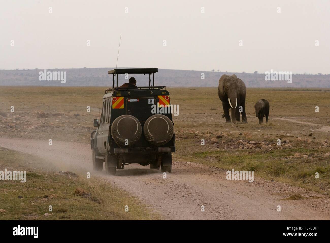 African safari vehicle hi-res stock photography and images - Alamy