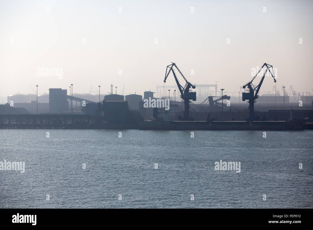 East asian cranes hi-res stock photography and images - Alamy