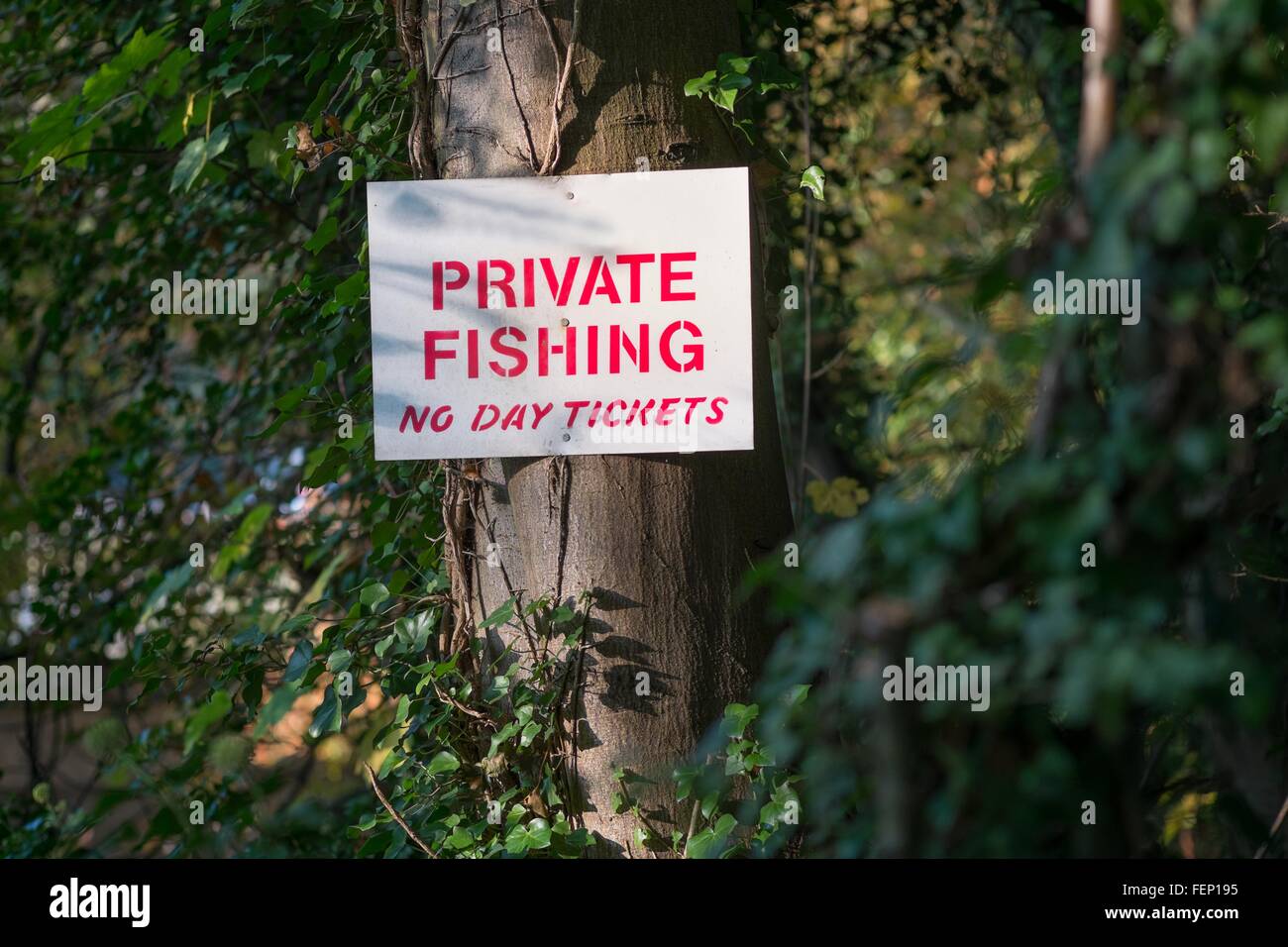 Private fishing notice on woodland tree Stock Photo - Alamy