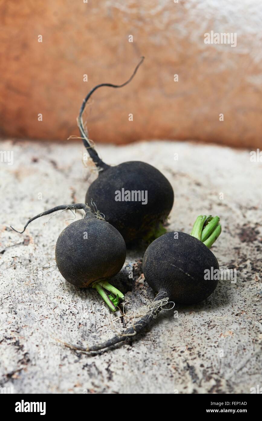Three whole black radish Stock Photo - Alamy