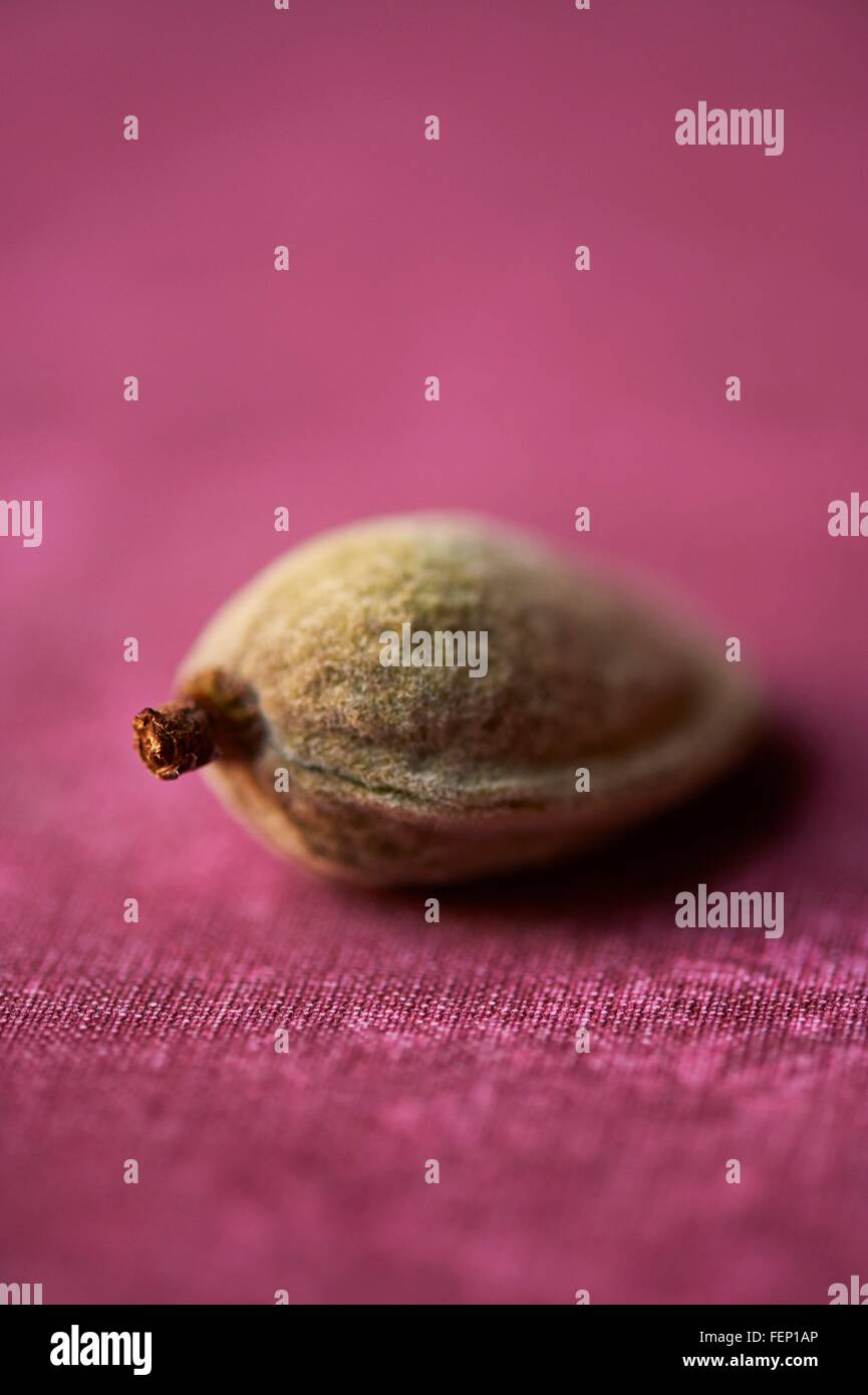 Pink colour hi-res stock photography and images - Alamy