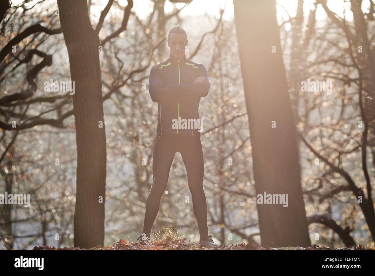 Man standing in forest hi-res stock photography and images - Alamy