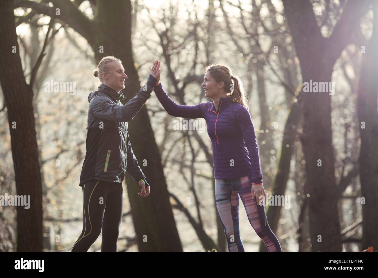 Celebrating High Five Sport High Resolution Stock Photography and ...