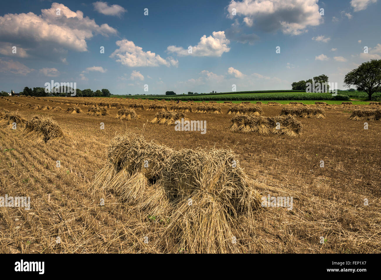 Lancaster county, PA. Pennsylvania farmland Stock Photo - Alamy