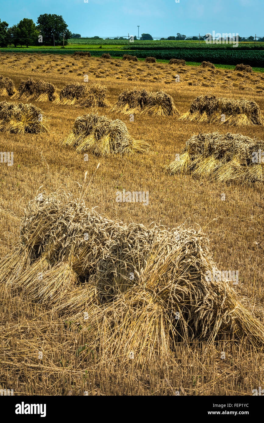 Lancaster county, PA. Pennsylvania farmland Stock Photo - Alamy