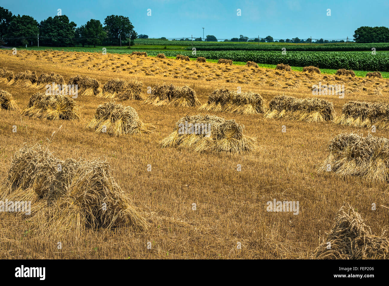 Lancaster county, PA. Pennsylvania farmland Stock Photo - Alamy