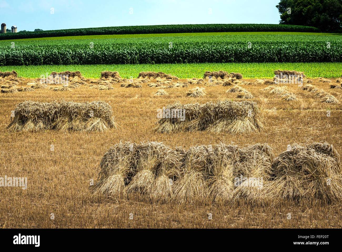 Lancaster county, PA. Pennsylvania farmland Stock Photo - Alamy