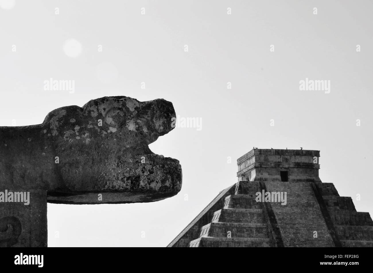 Serpent Black and White Stock Photos & Images - Alamy