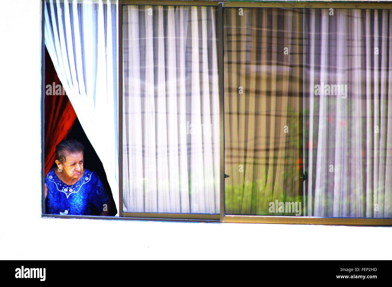 Old lady in the window Stock Photo - Alamy