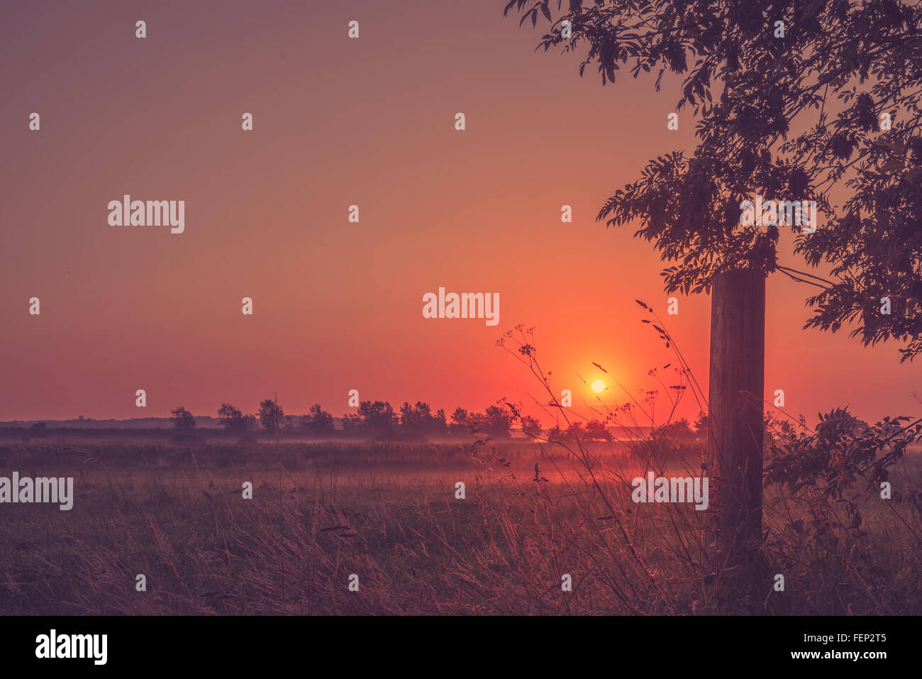 Beautiful red sunset at a countryside in Denmark Stock Photo - Alamy