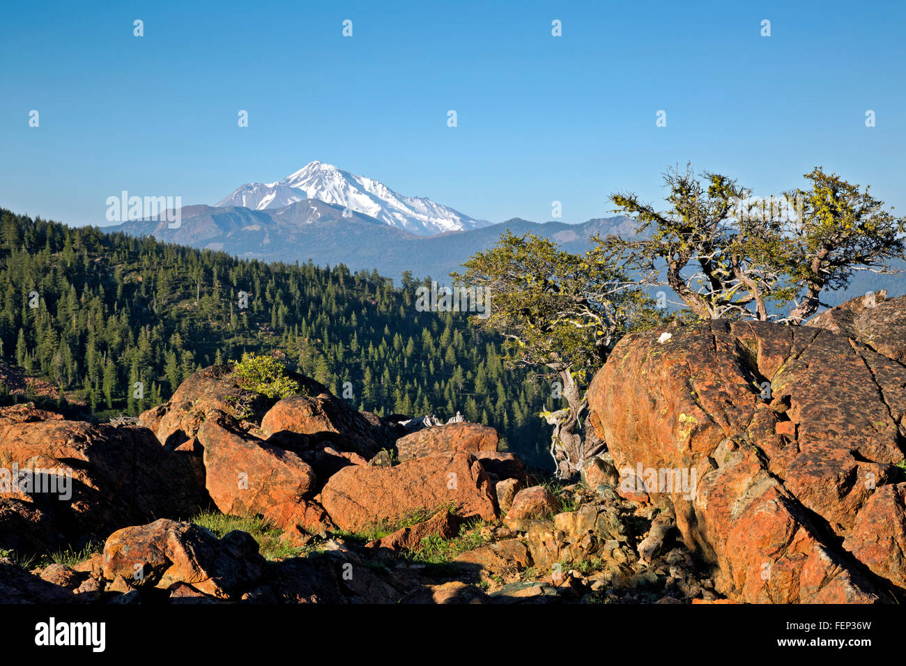 CALIFORNIA - Mount Shasta from an iron rich outcropping along the ...
