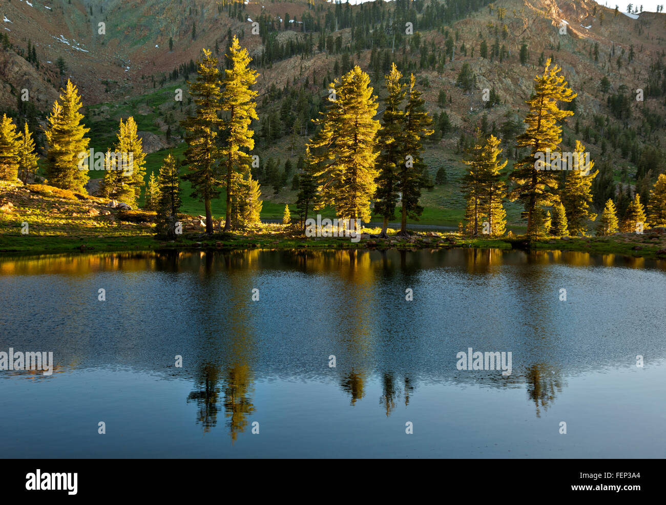 CALIFORNIA - Late afternoon at Upper Boulder Lake in the East Boulder ...