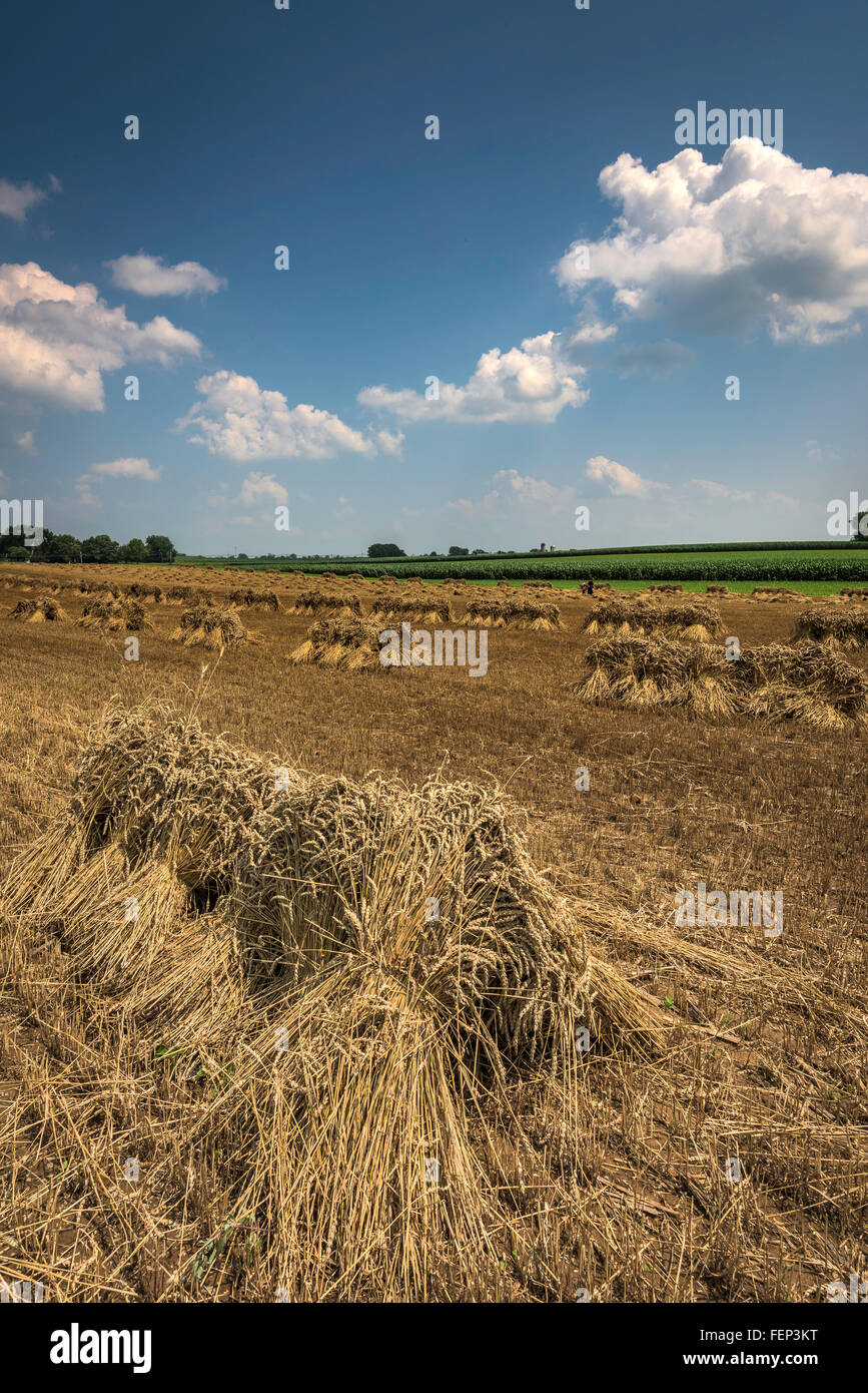 Lancaster county, PA. Pennsylvania farmland Stock Photo - Alamy