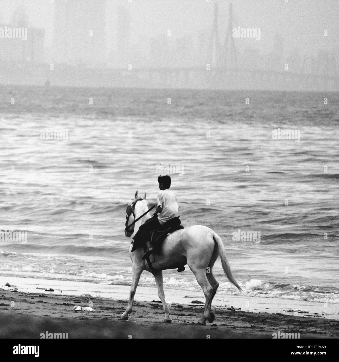 Person on horse hi-res stock photography and images - Alamy