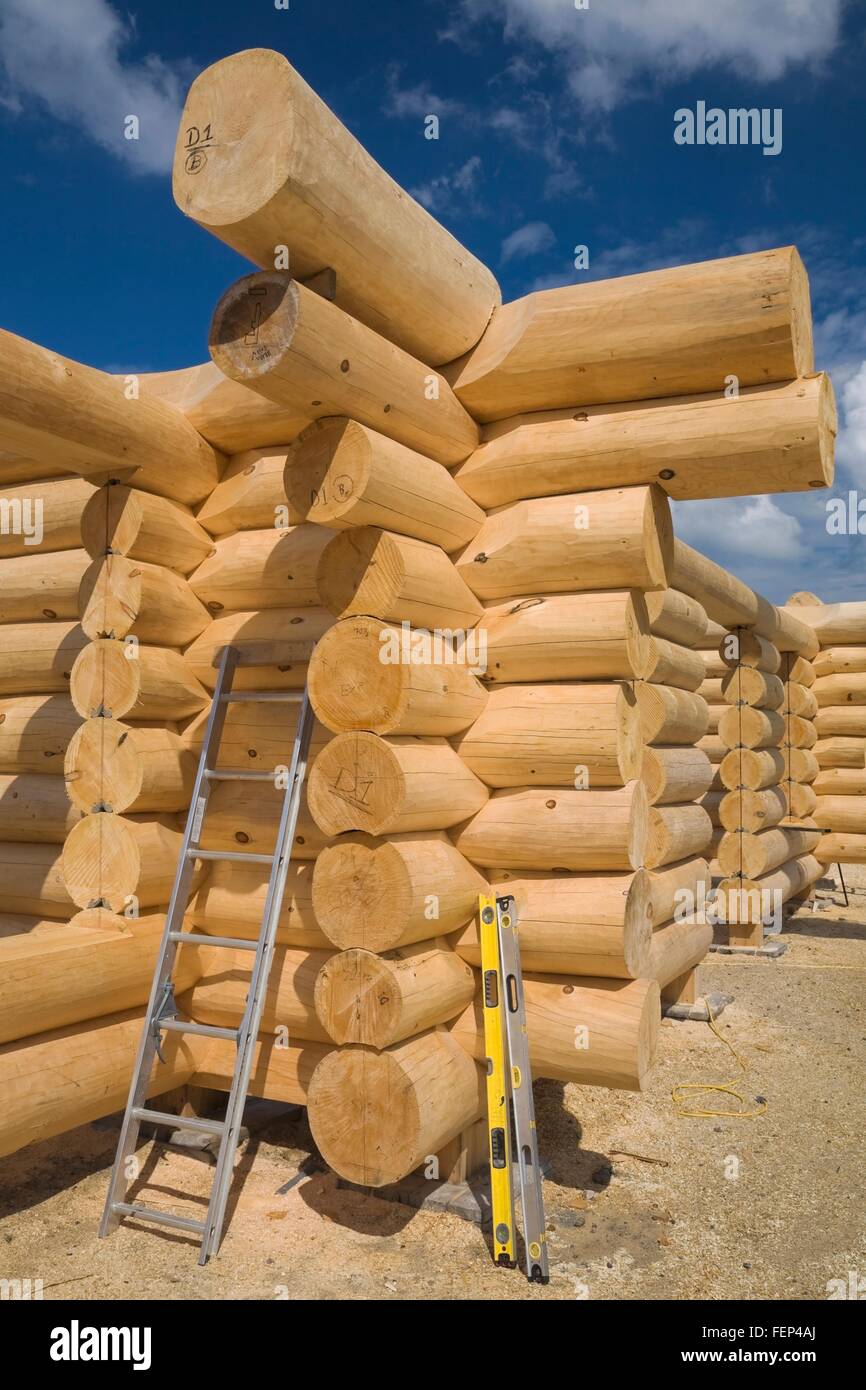 Unfinished Scandinavian Eastern white pine log cabin erected on builder ...