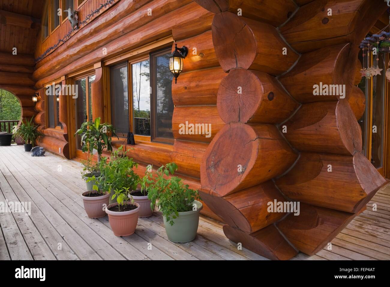 Log planter hi-res stock photography and images - Alamy