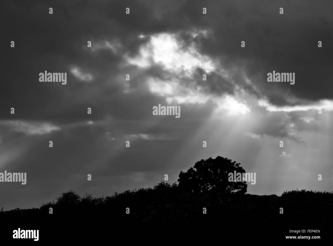 Rays of sunlight burst through clouds Stock Photo - Alamy