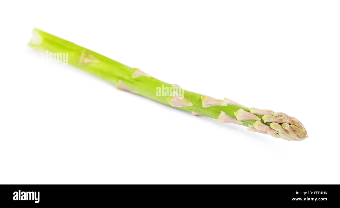 stalk of fresh green asparagus, isolated on white Stock Photo - Alamy