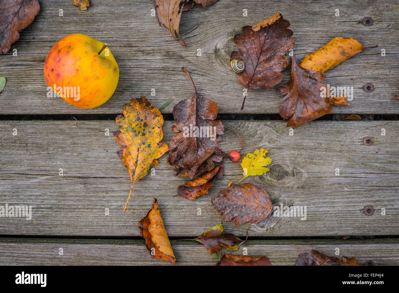 Wooden background with autumn apple and leaves Stock Photo - Alamy