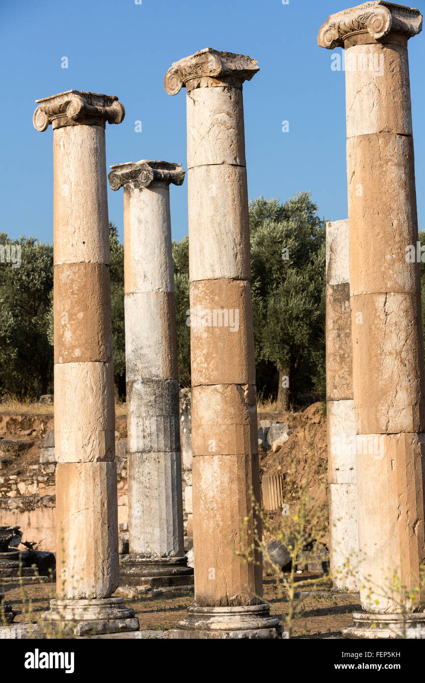 Ionic colonnade in the Agora of Nysa on the Maeander, an ancient city ...