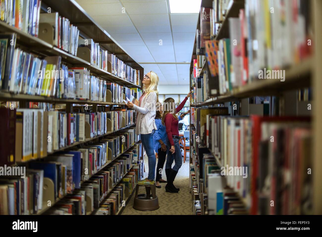 Books in library hi-res stock photography and images - Alamy