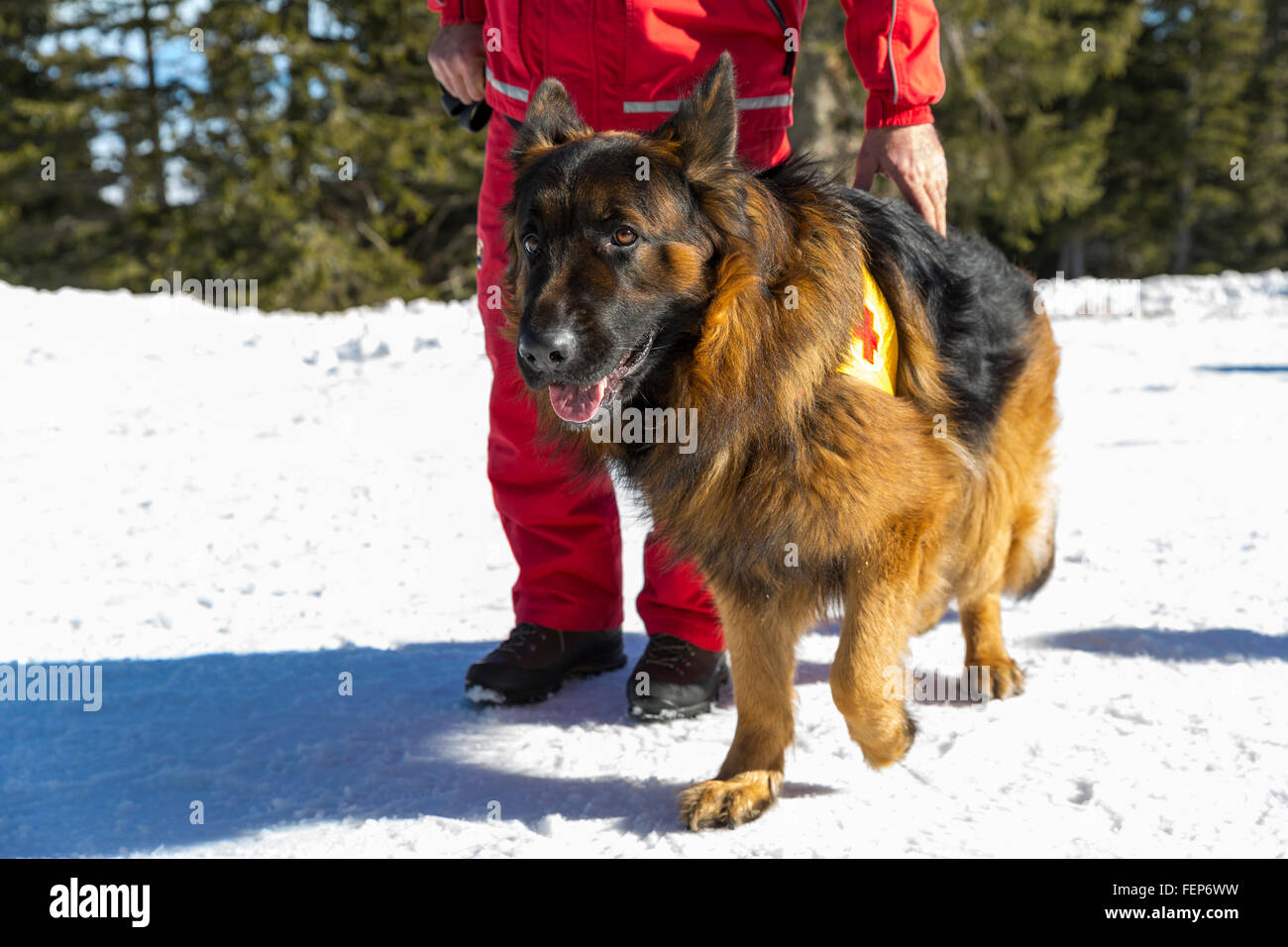 Rescuer from the Mountain Rescue Service at Bulgarian Red Cross is ...