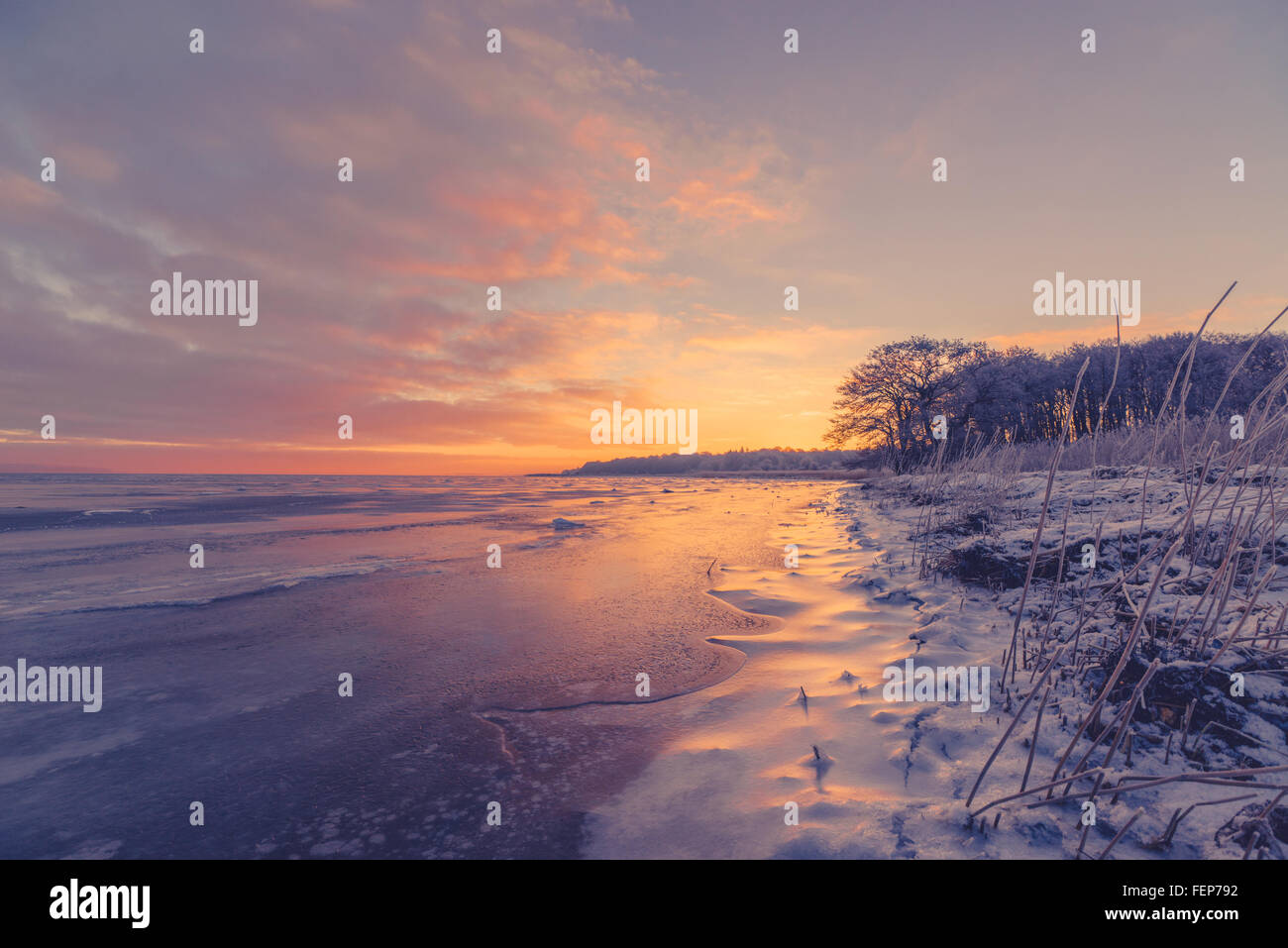 Beautiful sunrise at a frozen sea shore in Scandinavia Stock Photo - Alamy