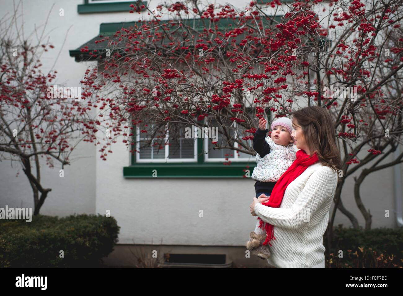 Mother and daughter looking at tree with berries Stock Photo - Alamy