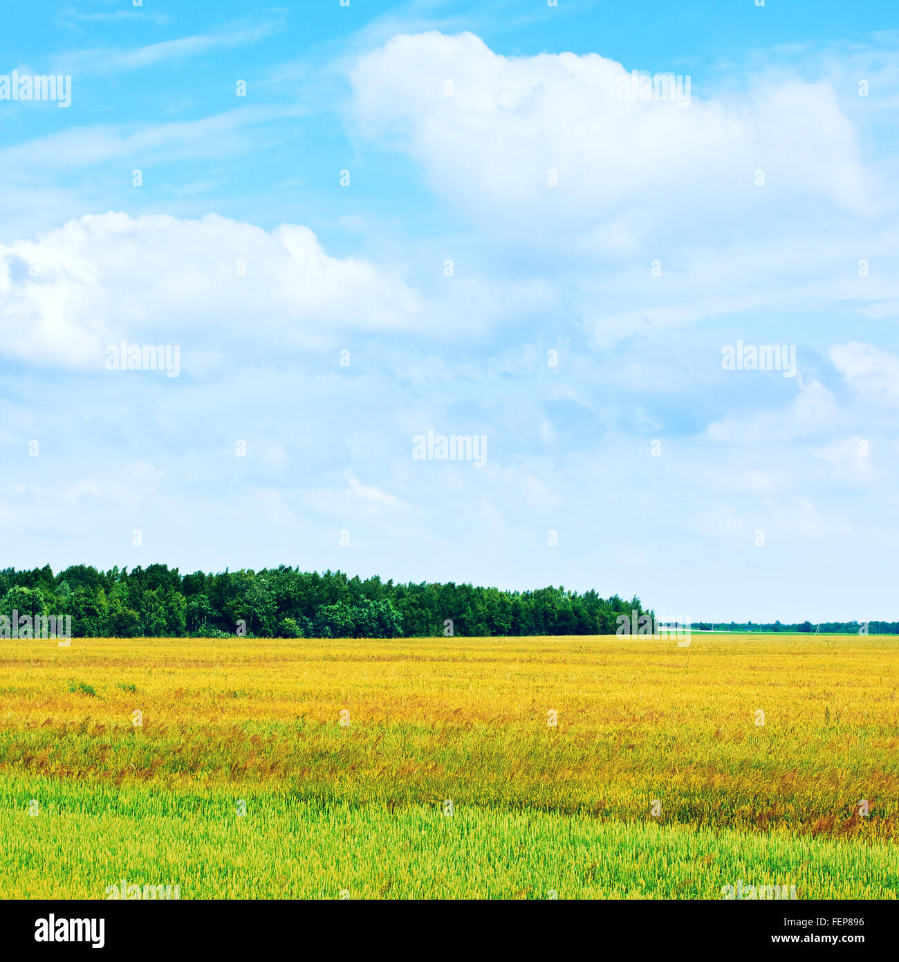 Photo of the day nature hi-res stock photography and images - Alamy
