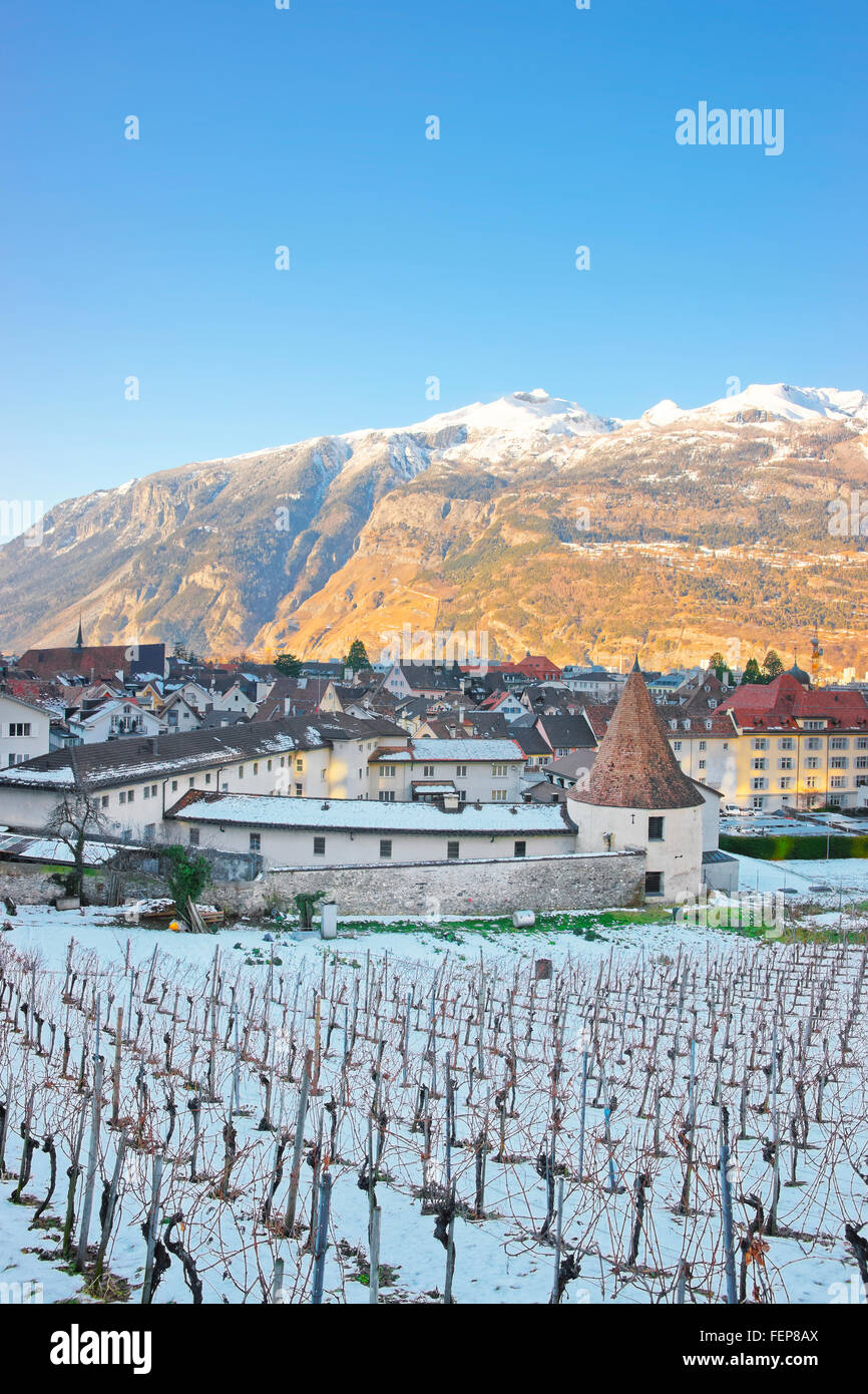 CHUR, SWITZERLAND - JANUARY 5, 2015: Alps and Vineyard in Chur at ...