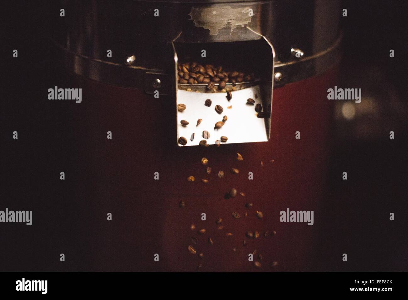 Coffee beans flowing from coffee roaster Stock Photo - Alamy
