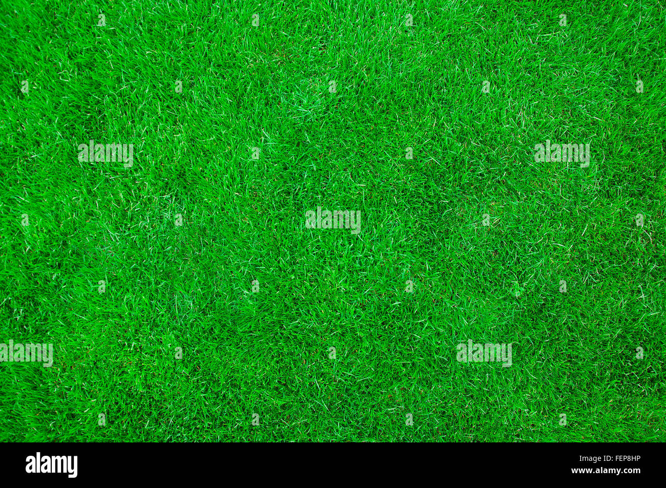 Saturated grass hi-res stock photography and images - Alamy