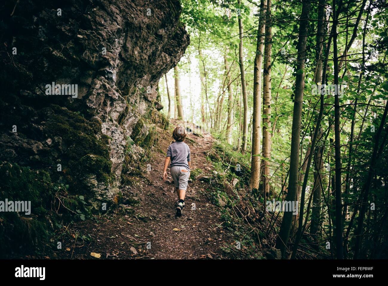 Track in forest hi-res stock photography and images - Alamy