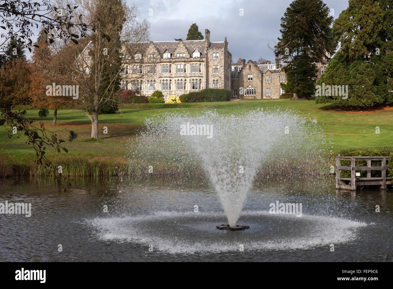 Trees and lake in the grounds of the Ashdown Park Hotel Stock Photo - Alamy