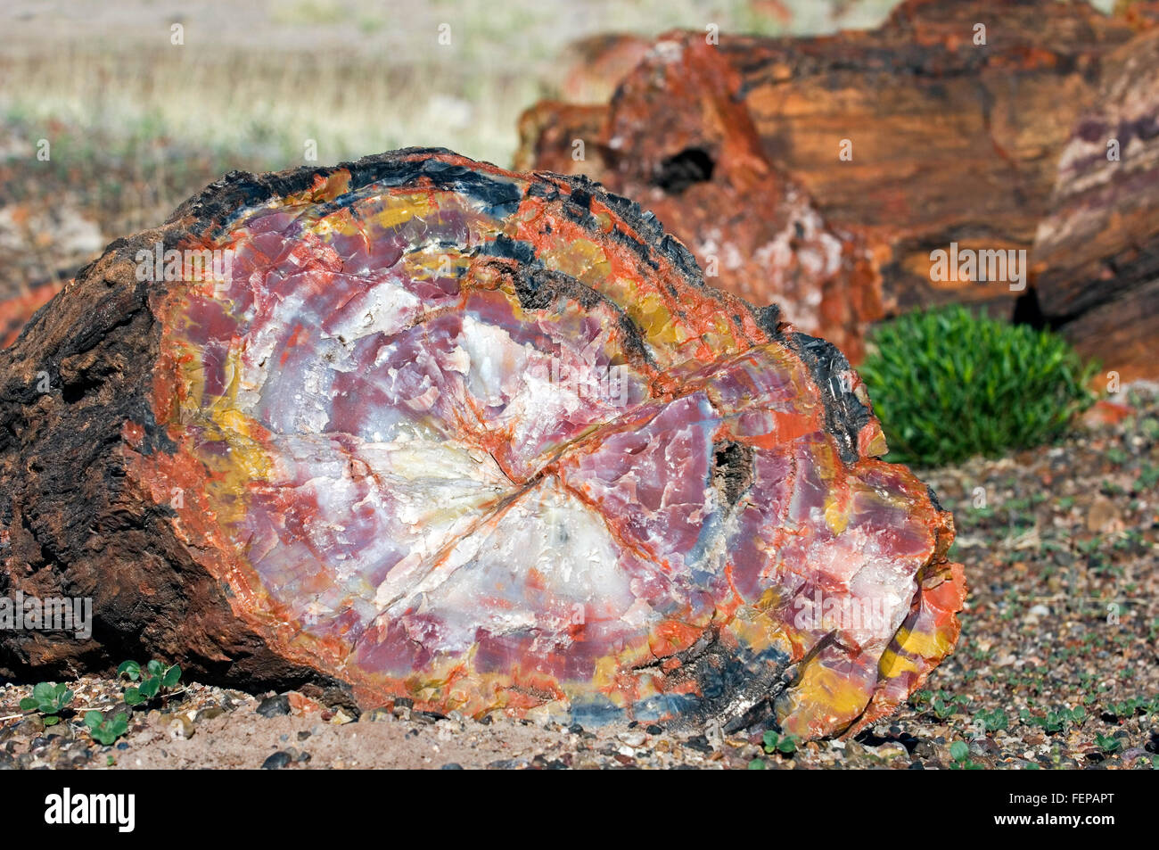 Crystal cross section hi-res stock photography and images - Alamy