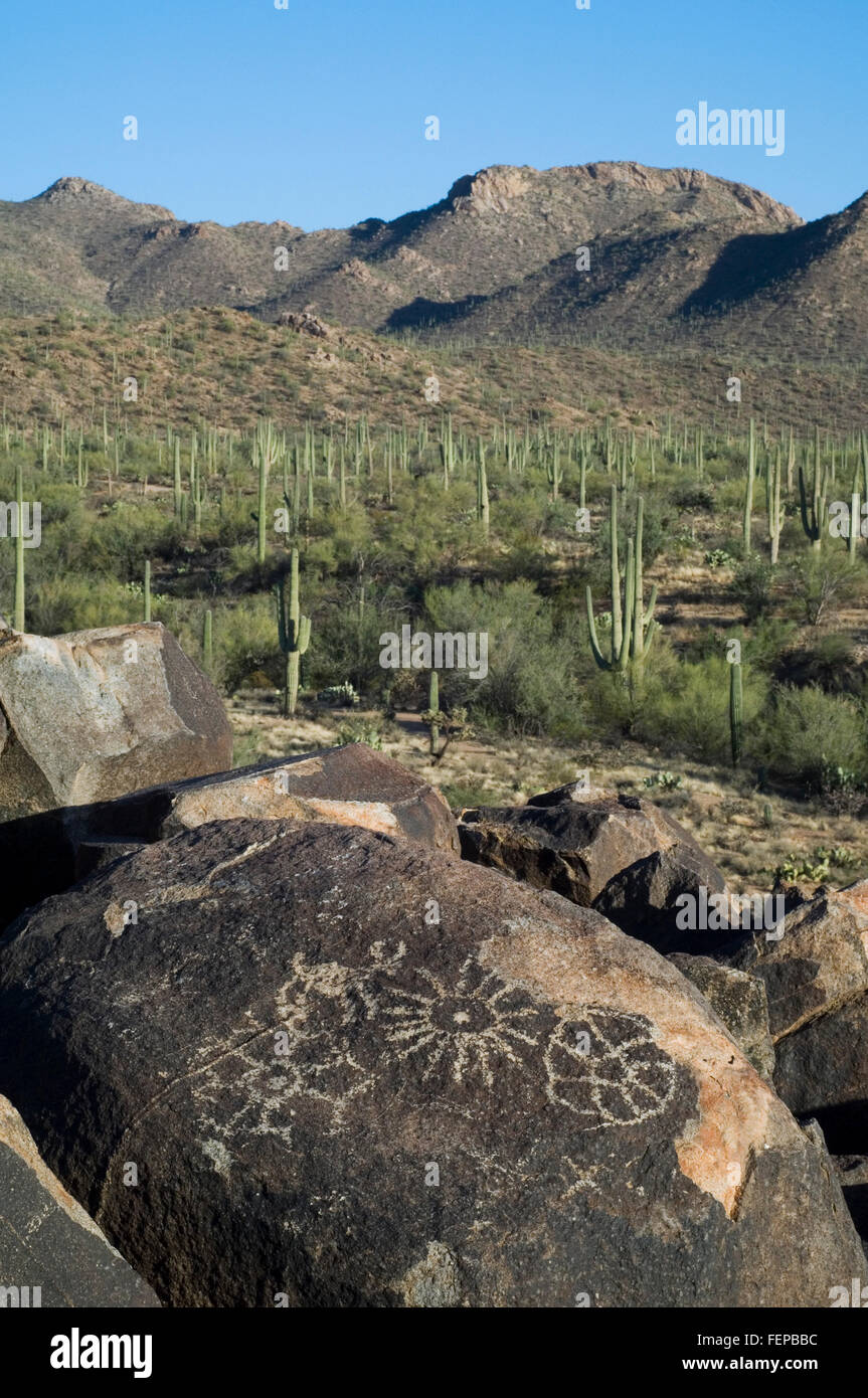 Hohokam culture hi-res stock photography and images - Alamy