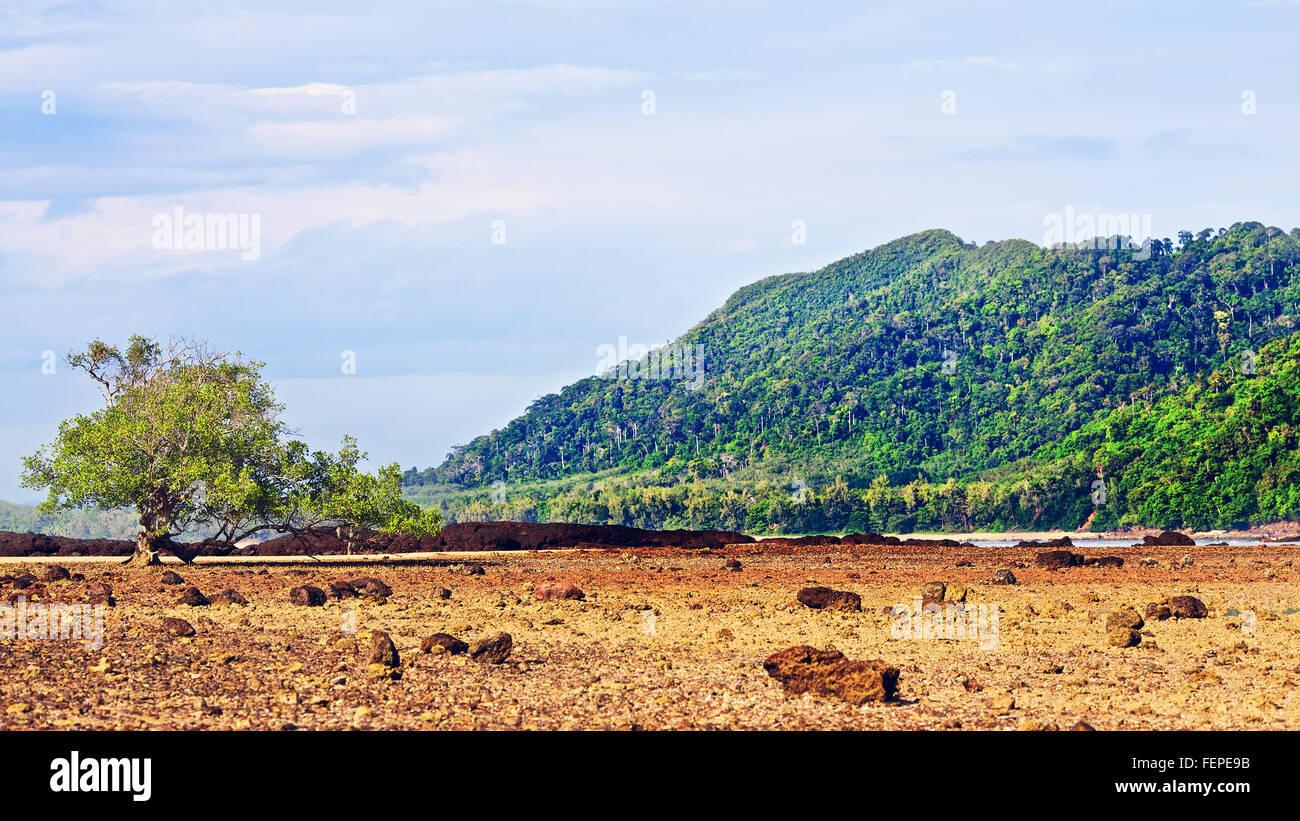 rocky beach at low tide, Andaman Shore, Thailand Stock Photo - Alamy