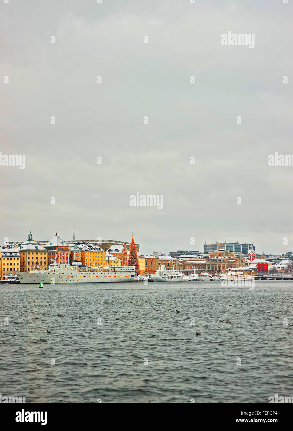 Evening scenery of the Old City of Stockholm with a Christmas tree in ...