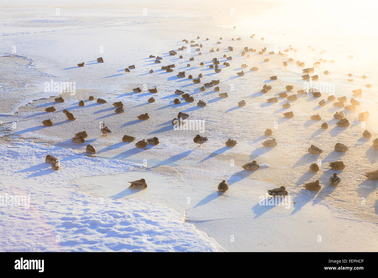 Freezing cold morning hi-res stock photography and images - Alamy