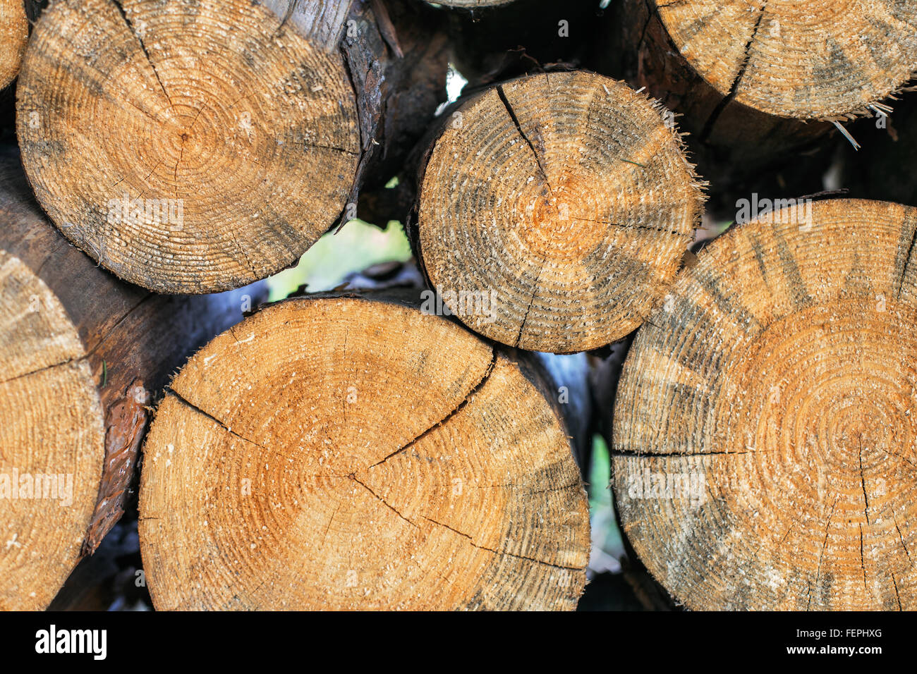 Logs in a circle hi-res stock photography and images - Alamy