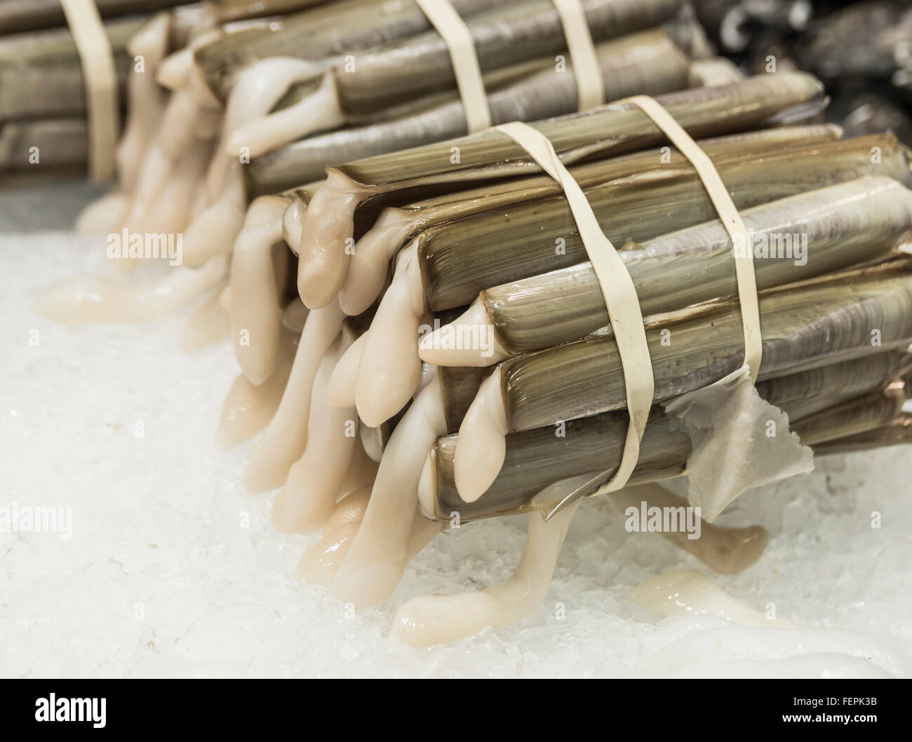Razor clams hi-res stock photography and images - Alamy